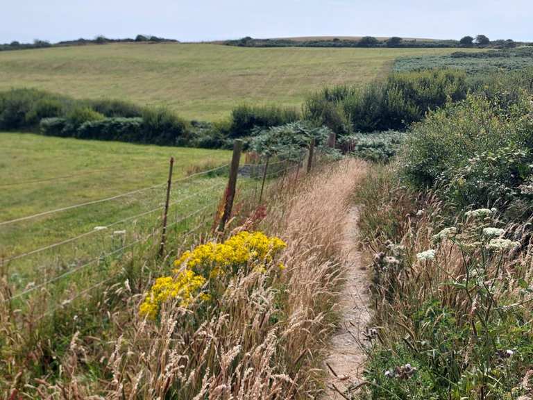 Top 10 Hikes and Walks around Buckland Brewer | Komoot