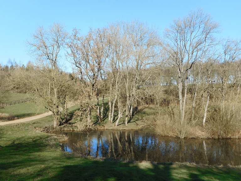 Top 8 Hikes and Walks around Enstone | Komoot