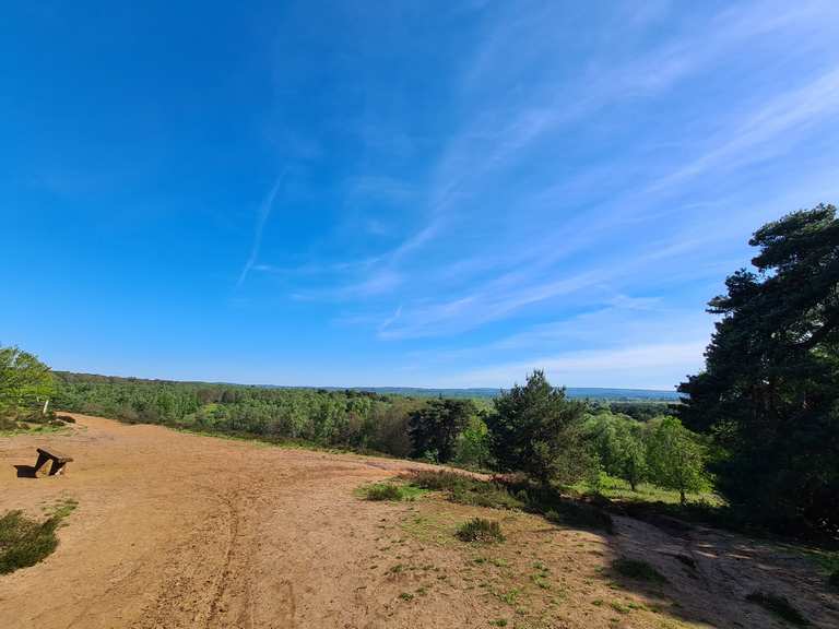 Die 10 schönsten Wanderungen rund um Tongham | Komoot