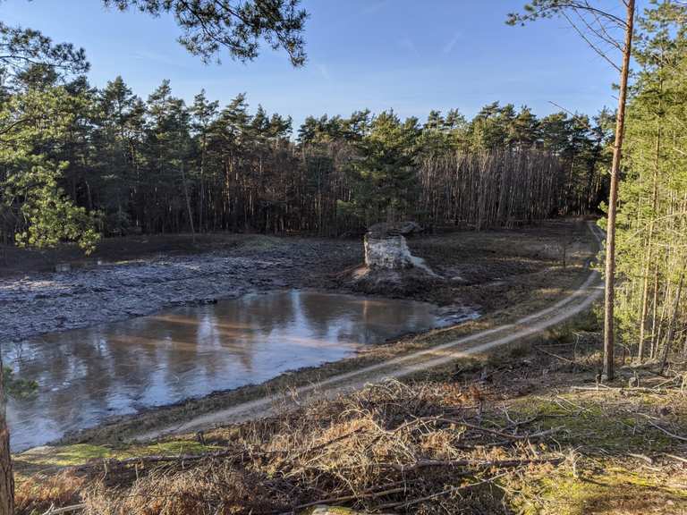 Die 10 schönsten Laufstrecken rund um Dormitzer Forst 🏃 | Komoot