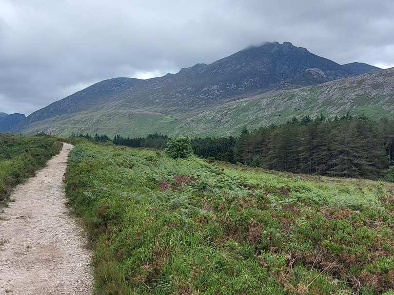 Top 10 Hikes and Walks around Attical | Komoot