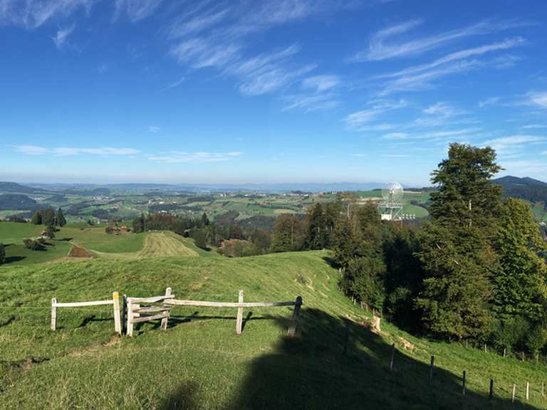 Die 10 schönsten Wanderungen rund um Hirzel | Komoot