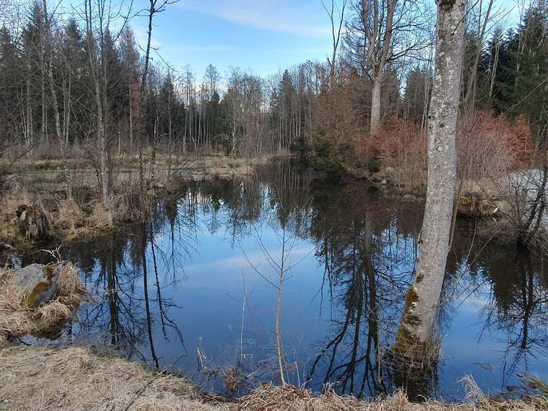 5 trilhas de corrida imperdíveis em torno de Rotter Forst Nord | komoot