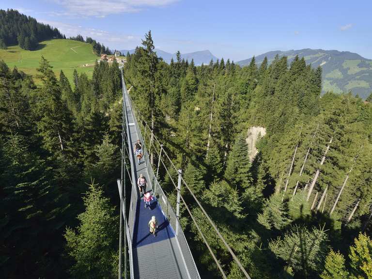 Top 20 Hikes and Walks around Rothenthurm | Komoot