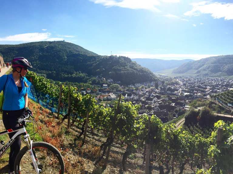 Top 10 Most Beautiful MTB Trails in the Eifel | Komoot