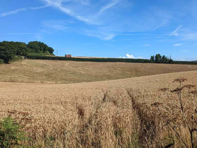 Top 10 Hikes and Walks around Stogumber | Komoot