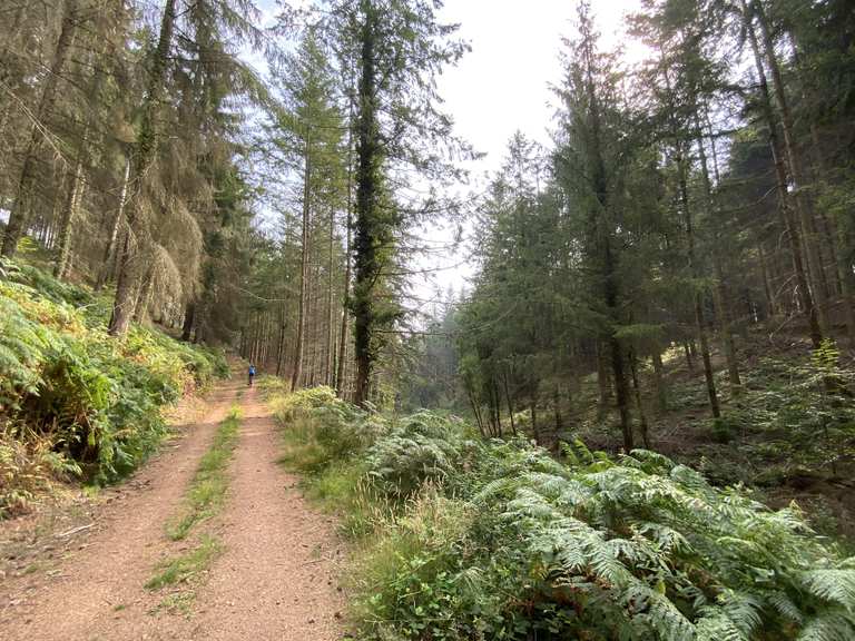 Top 10 Hikes and Walks around Minehead | Komoot