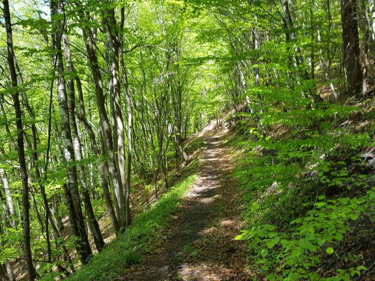 Top 10 Most Beautiful MTB Trails around Landkreis Passau | Komoot