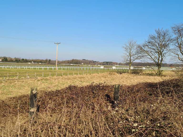 Top 10 Hikes and Walks around Thorp Arch | Komoot