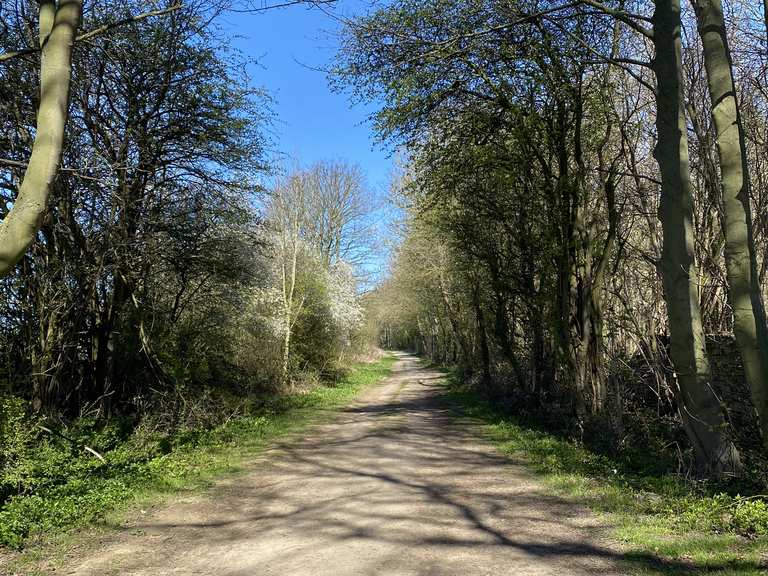 Top 5 Hikes and Walks around Scarcroft | Komoot