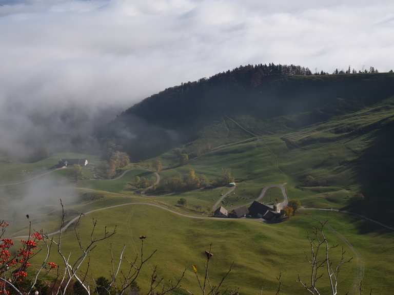 Die 10 schönsten Wanderungen rund um Reigoldswil | Komoot