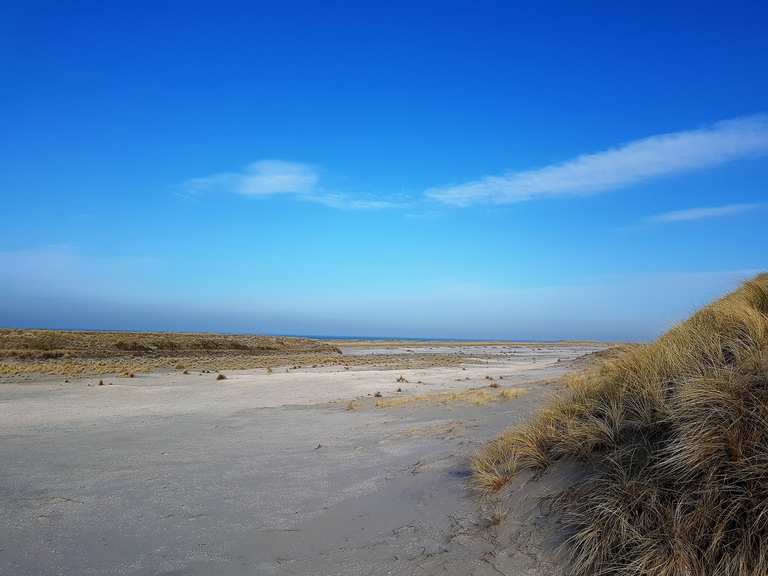 De 10 mooiste wandelroutes rond Rotterdam | Komoot