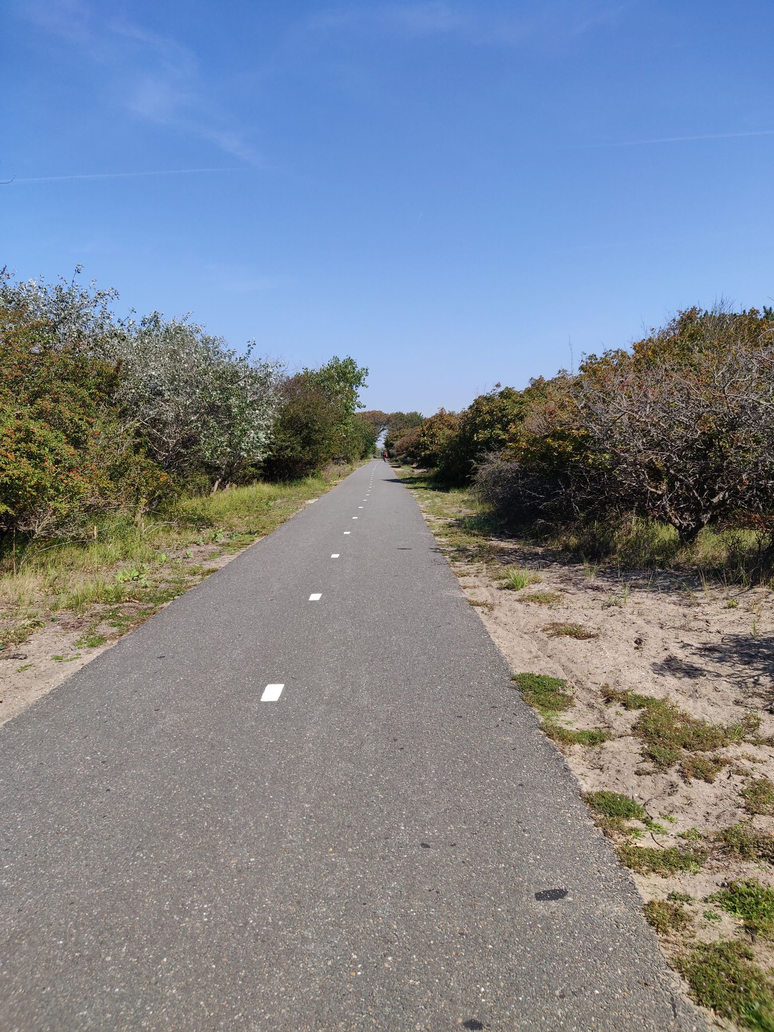 Top 5 Bike Rides and Cycling Routes around Lisse | Komoot