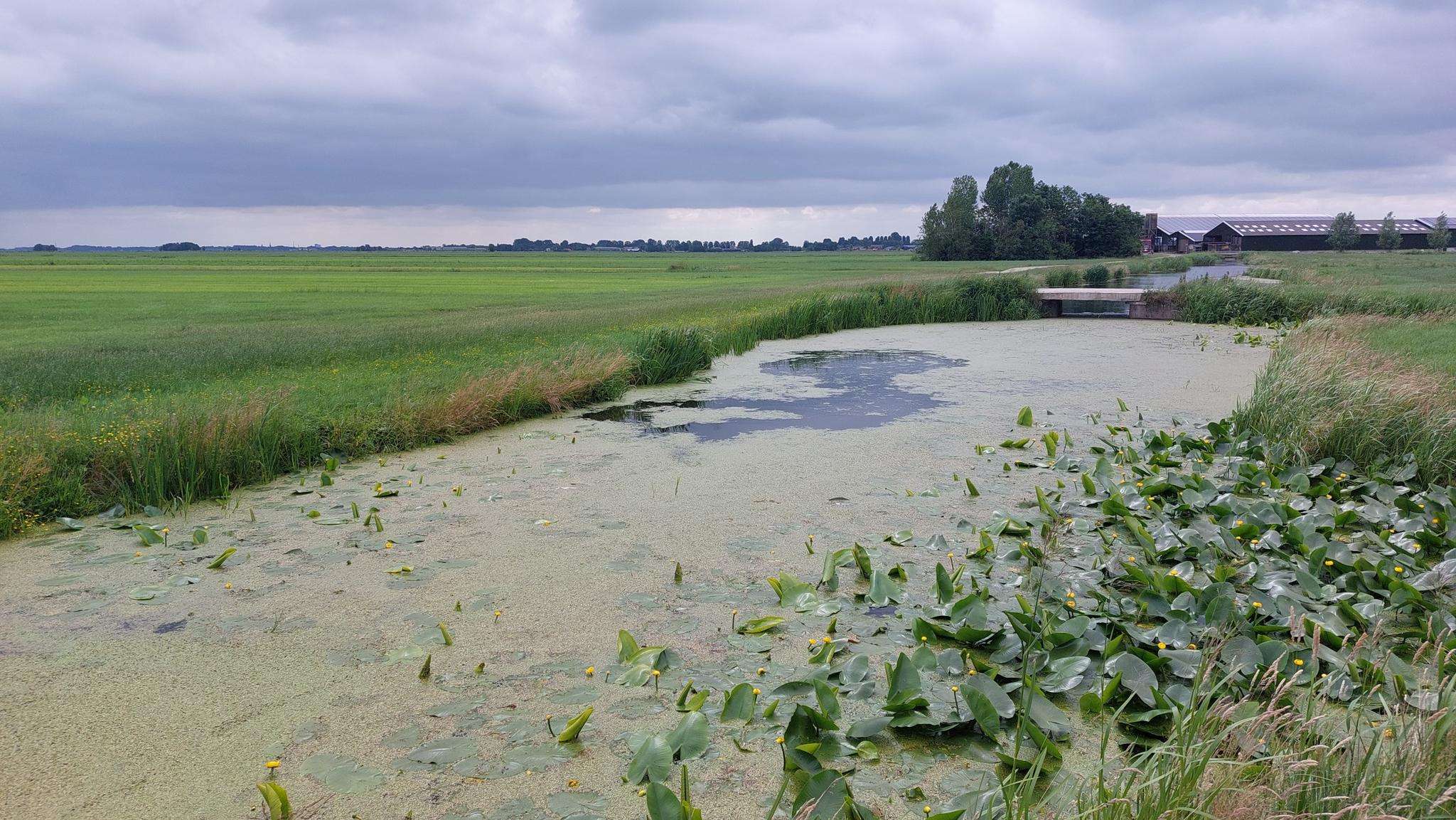 De mooiste bezienswaardigheden rond Bodegraven - Top 20 | Komoot