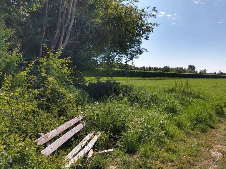 De 10 mooiste wandelroutes rond Goes | Komoot