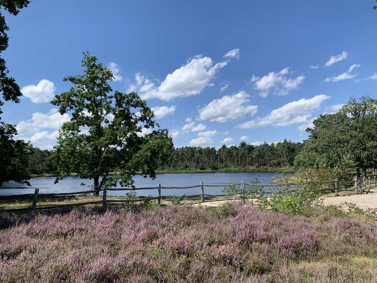 De 10 mooiste wandelroutes rond Doorn | Komoot