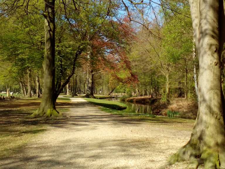 De 10 mooiste wandelroutes rond Hilversum | Komoot