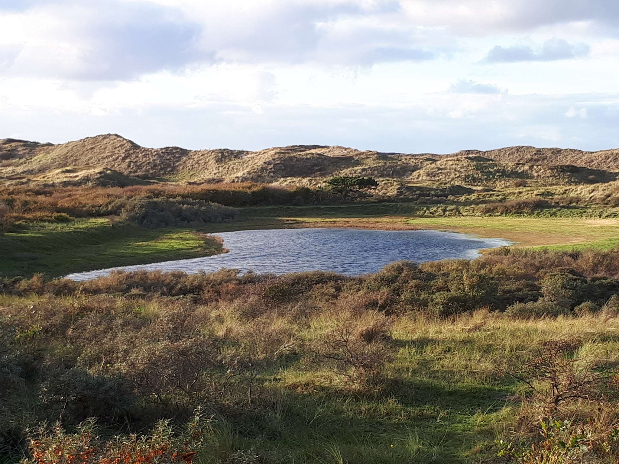 De 10 mooiste wandelroutes rond Castricum | Komoot