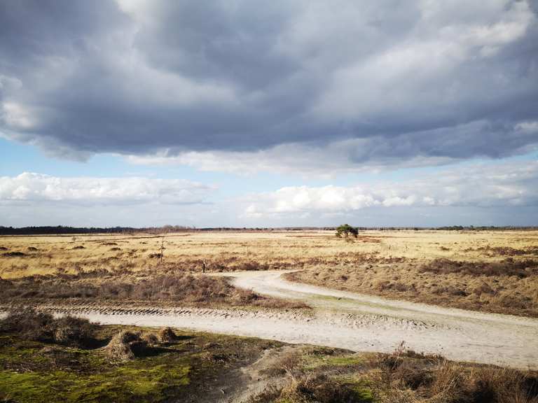 De 10 mooiste wandelroutes rond Someren | Komoot