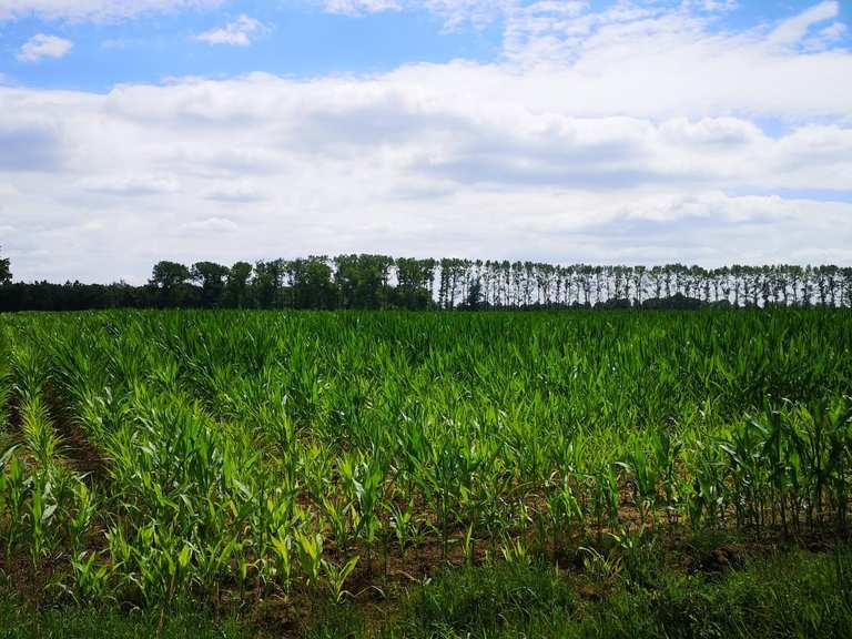 De mooiste bezienswaardigheden rond Sint Anthonis - Top 20 | Komoot