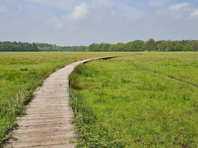 De mooiste bezienswaardigheden rond Haaren - Top 20 | Komoot