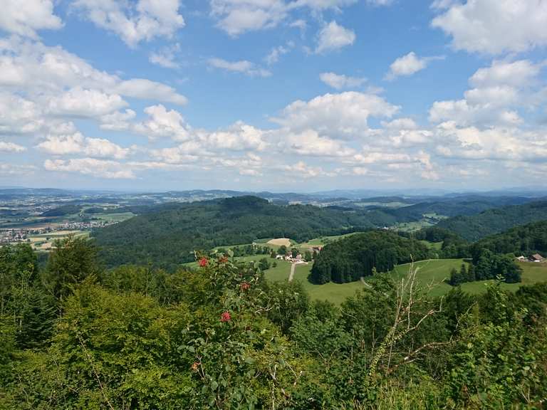 Die 10 schönsten Wanderungen rund um Turbenthal | Komoot