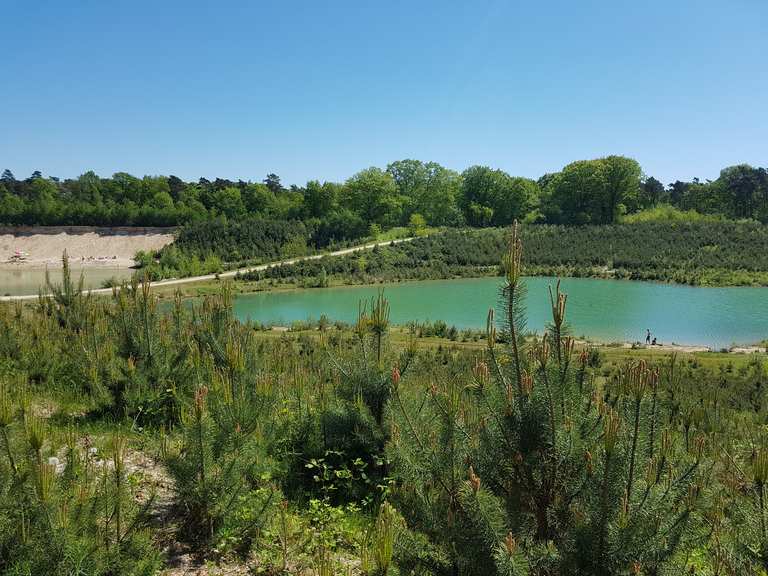 Die 10 schönsten Fahrradtouren rund um Maasbree | Komoot