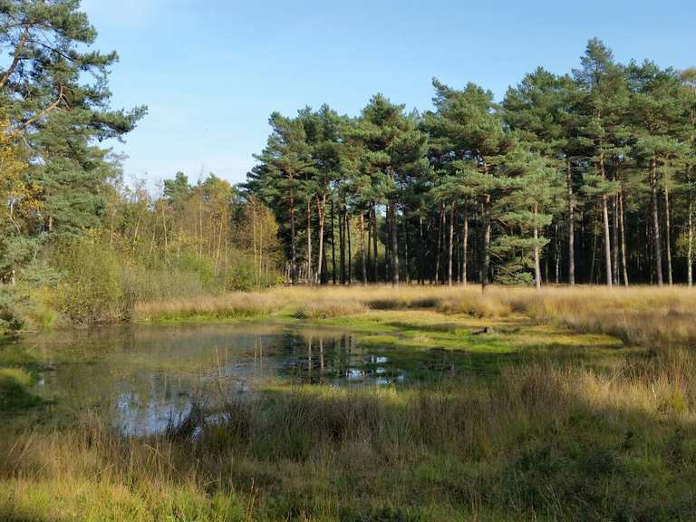 Top 20 randonnées et balades autour de Beesel | Komoot