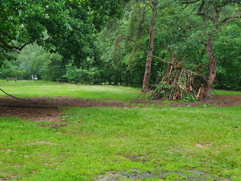 De 10 mooiste wandelroutes rond Putten | Komoot