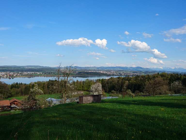 De 10 mooiste wielrenroutes rond Bezirk Uster | Komoot