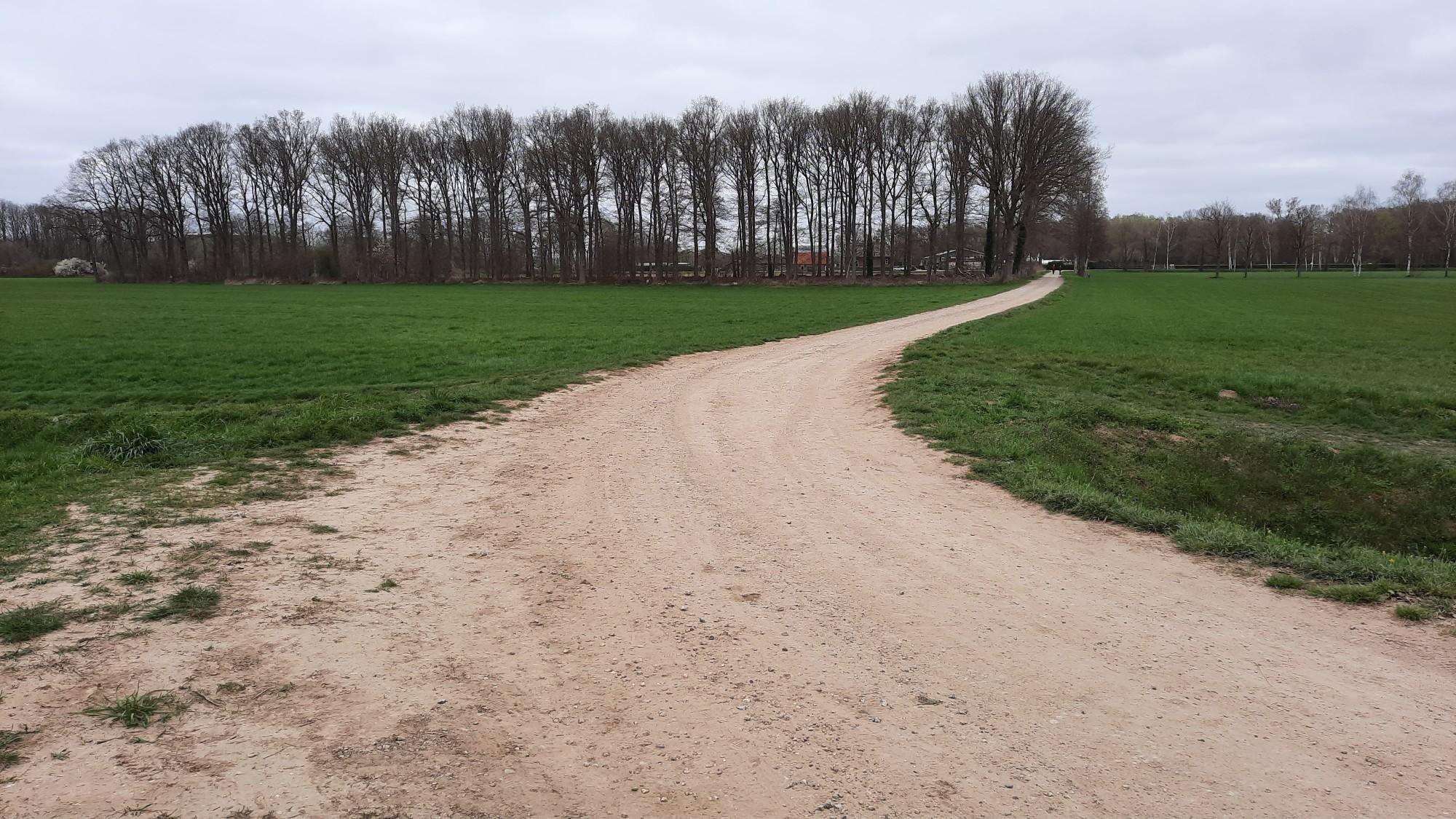 De mooiste bezienswaardigheden rond Didam - Top 20 | Komoot