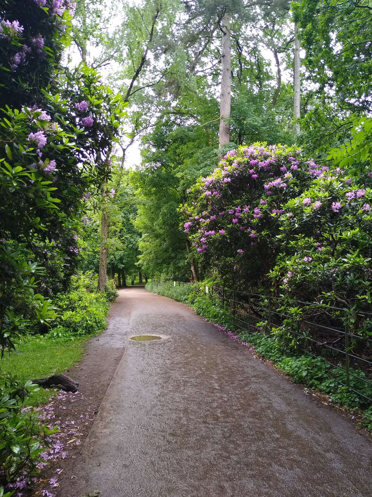 Top 10 Hikes and Walks around Nottingham | Komoot