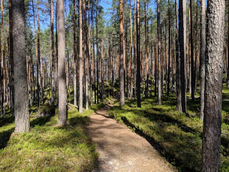 Die 4 schönsten Wanderungen rund um Kannonkoski | Komoot
