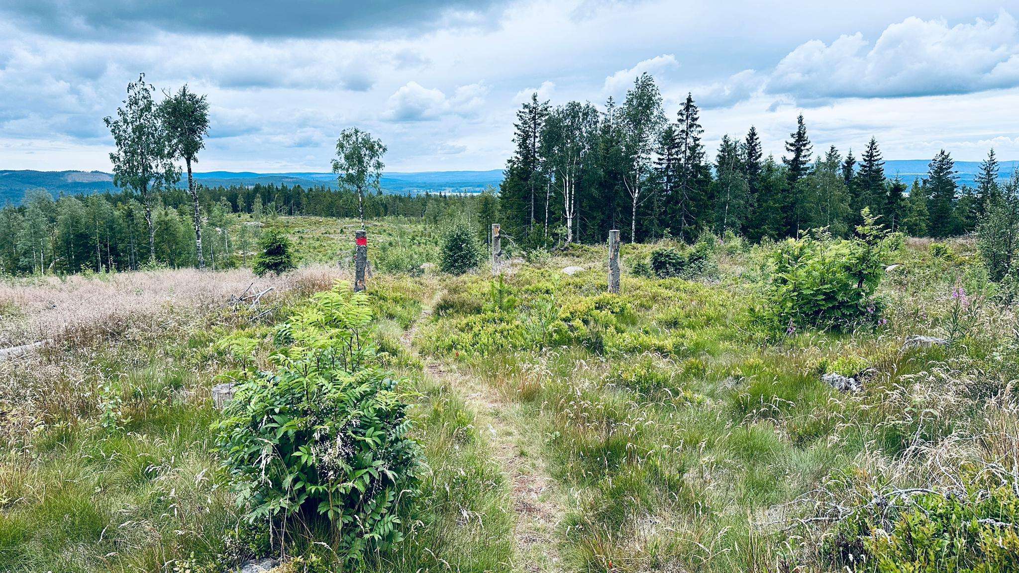 De mooiste bezienswaardigheden rond Hagfors - Top 20 | Komoot