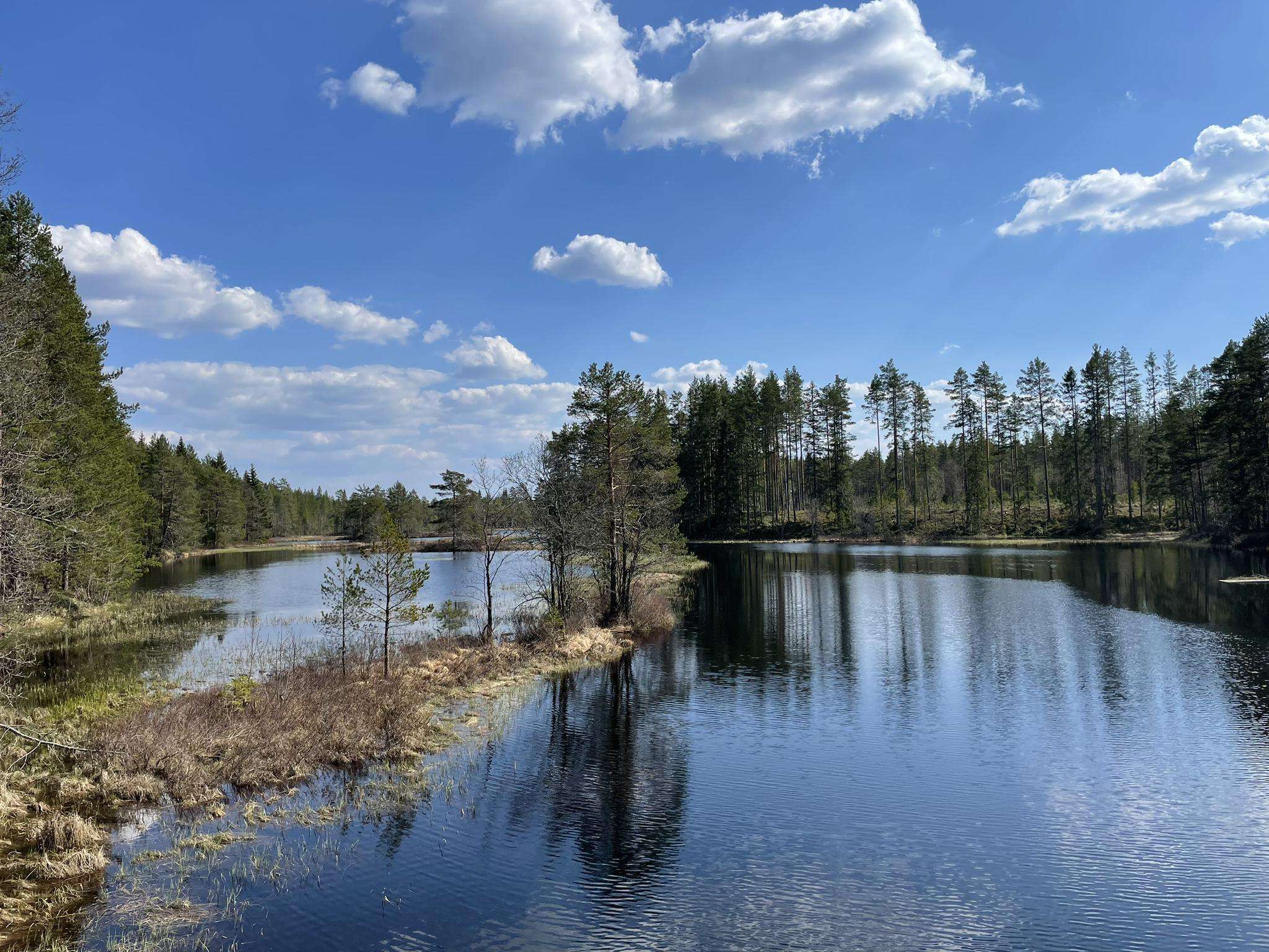 Les 20 meilleures attractions et ce qu'il faut voir autour de Hällefors ...