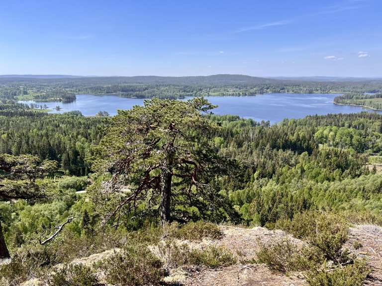 Top 8 Hikes and Walks around Kil | Komoot