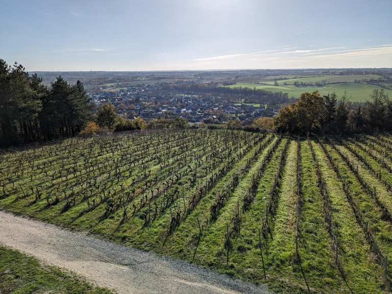 Les 20 meilleures attractions et ce qu'il faut voir autour de Chemillé ...