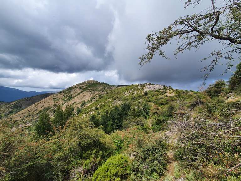 Top 5 randonnées et balades autour de Monacia-d'Orezza | Komoot