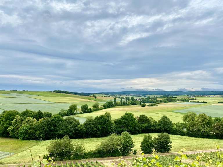 Os 9 melhores Percursos de corrida em torno de Roxheim | Komoot