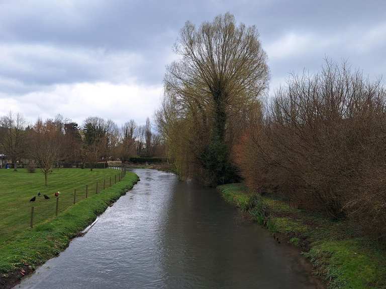 Les 20 meilleures attractions et ce qu'il faut voir autour de Saint ...