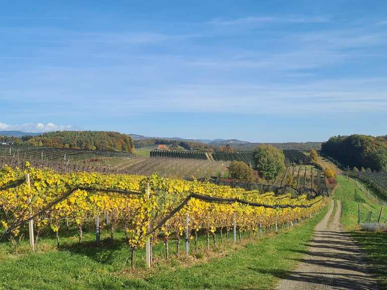 Die 10 schönsten Wanderungen rund um Albersdorf-Prebuch | Komoot