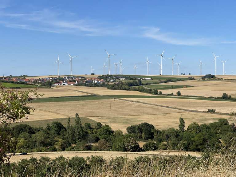 Die 10 schönsten Wanderungen rund um Albisheim (Pfrimm) | Komoot