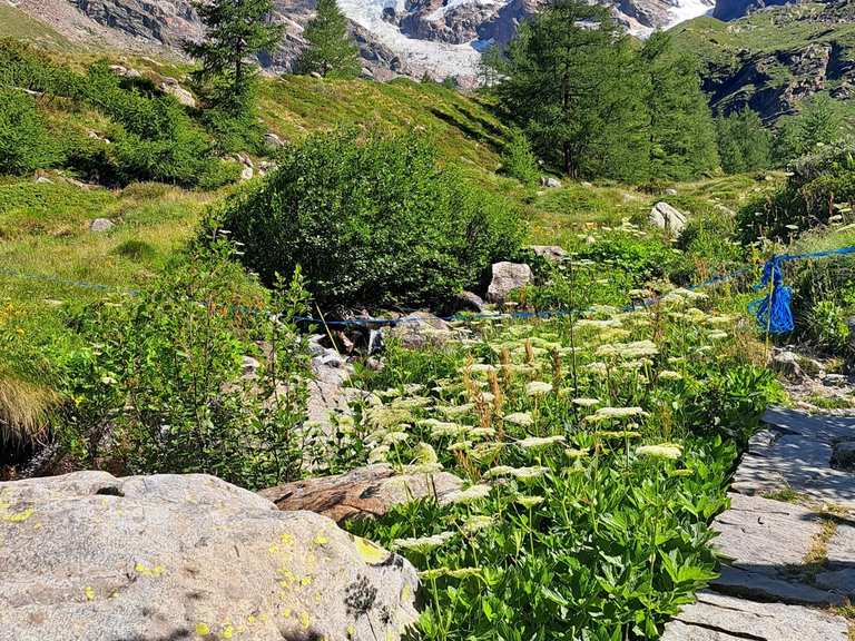 zum Lago Gabiet | Wanderung | Komoot