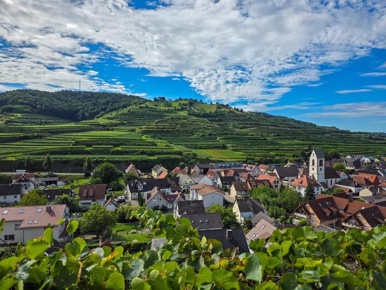 🍇 Kaiserstuhl 📍 Bötzingen 🦋 Oberbergen ⛪️ Katharienkapelle | Wanderung ...