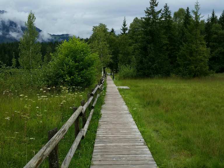 🇦🇹Vom Schwarzsee zum Gieringer Weiher | Wanderung | Komoot