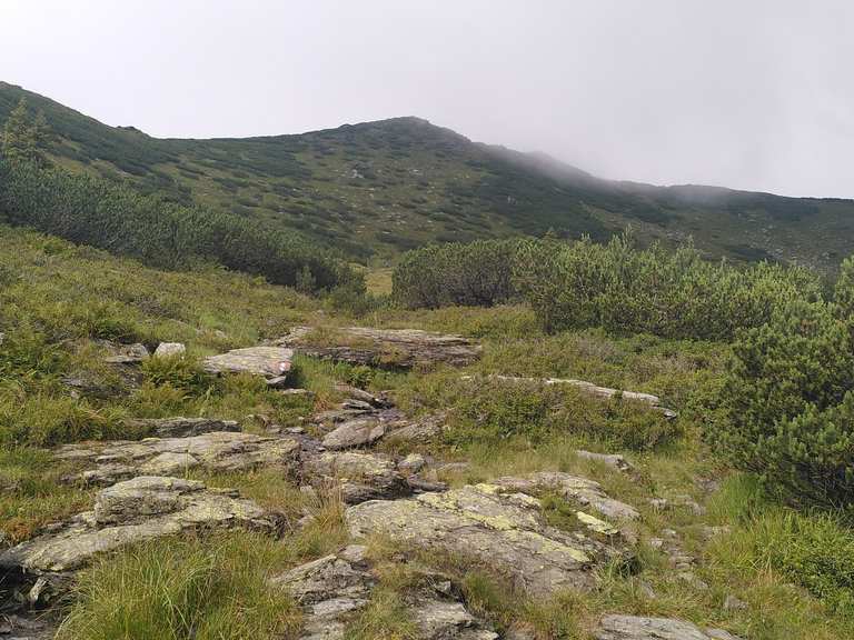 Planneralm - Donnersbachwald; Salzsteigweg, Etappe 11 | Wanderung | Komoot