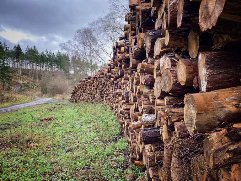 Cycle Rides in Northumberland & Beyond | Komoot