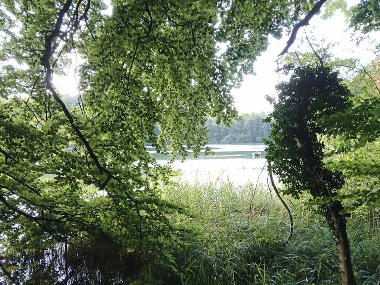 Ukleisee und Kellersee - per pedes | hike | Komoot
