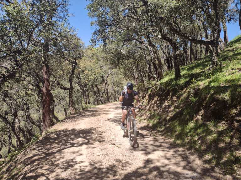 Atlas MTB - Middle Atlas Oriental: Day 2 Bab Loutar - Al Ansar ...