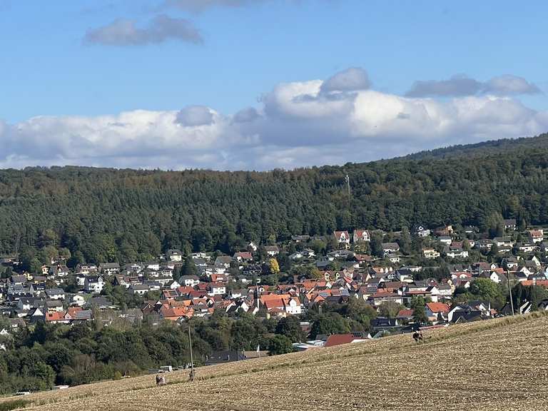 Waldbaden bei den Niester Riesen | Wanderung | Komoot